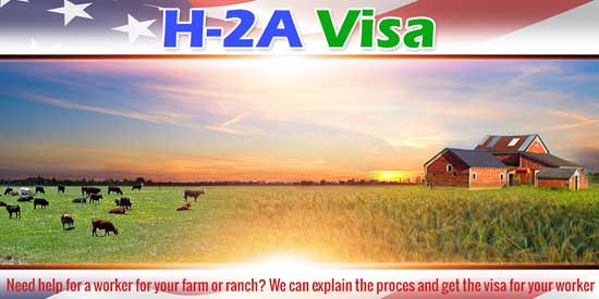 H-2A Visa Montana North Dakota Wyoming | Immigration Law of Montana